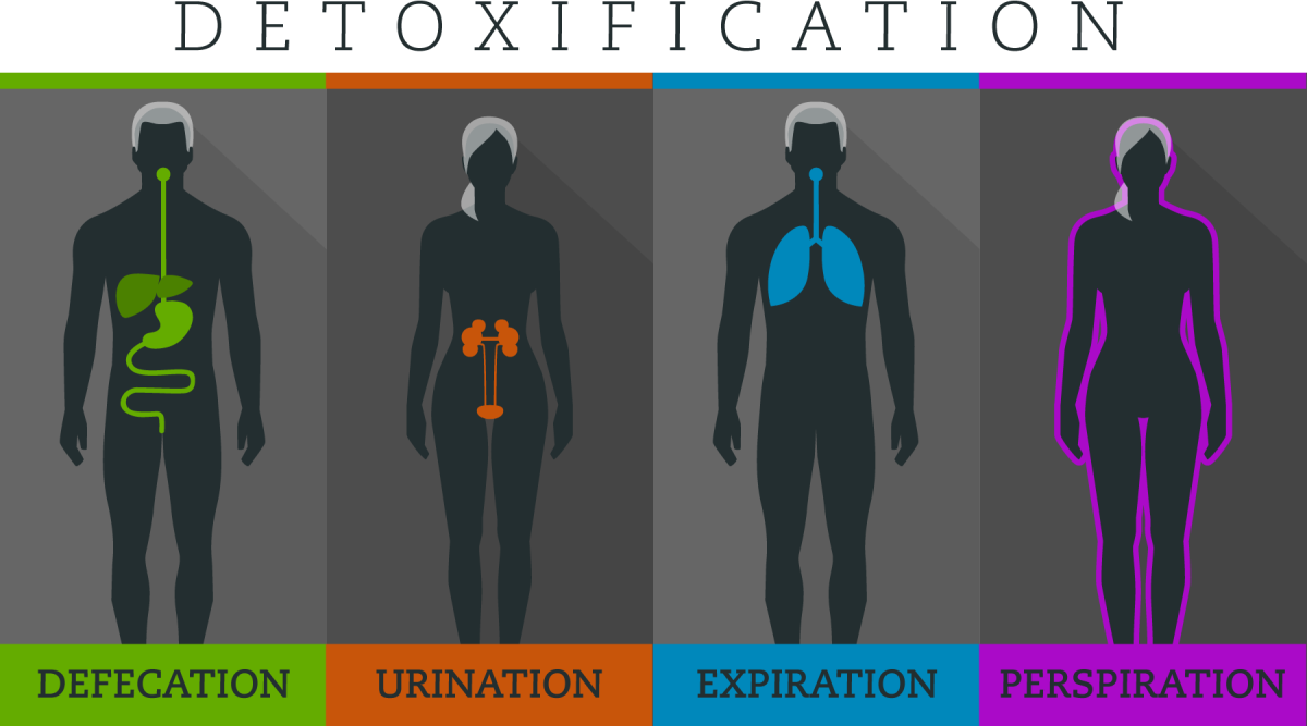 Detoxification | DC Hours